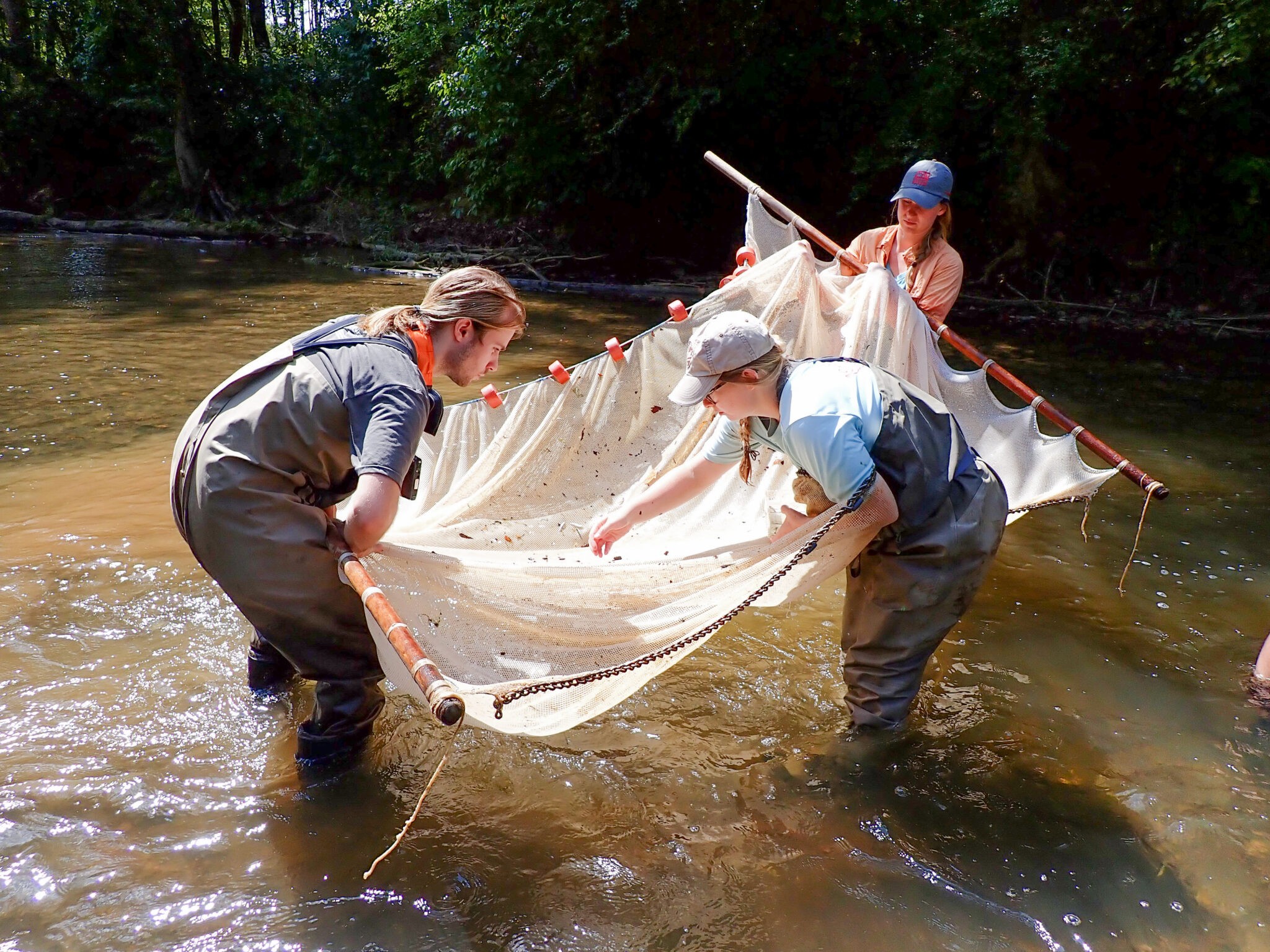 Odum School of Ecology - University of Georgia - HomeOdum School of Ecology